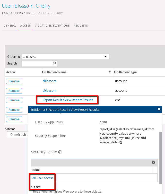 Security Scope Does Not Display Report Names Associated With Aveksa