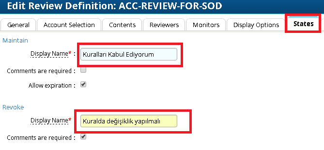 Review Generation Fails In Rsa Via Lifecycle And Governance When Double Byte Characters Are In