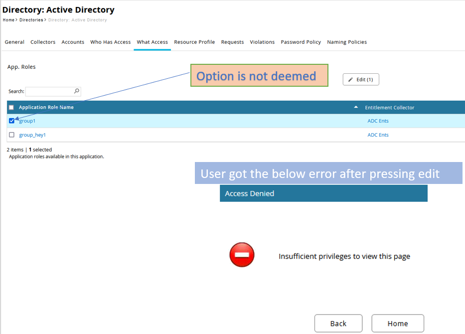 Technicalbusiness Owner Of A Directory Cannot Edit Application Roles