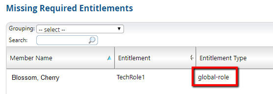 Role Analytics Tab Under Missing Required Entitlements Displays