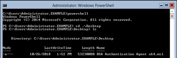 Installing Rsa Authentication Agent 7x For Windows On Microsoft