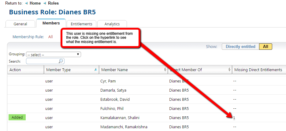 Business Role Does Not Show Missing Direct Entitlements Rsa Community